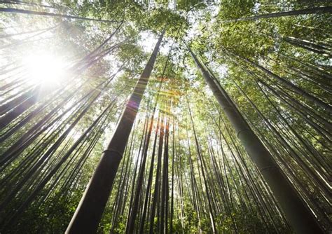 담양 출신 연예인 프로필 모음 아이돌 가수 배우 여배우 남배우 여자 배우 남자 배우 남자 연예인 여자 연예인 여가수 남가수 야구선수 축구선수 개그맨