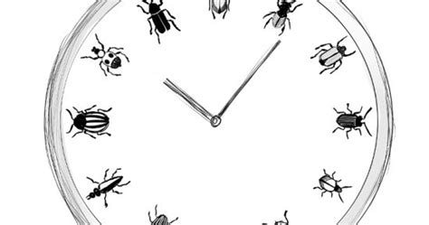 Hasan Savran On Linkedin How To Handle Datetime In Cosmos Db