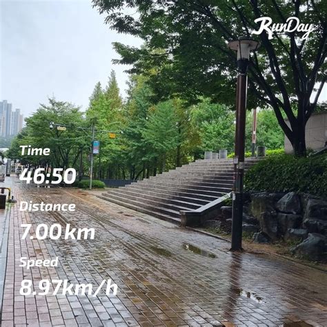 매일5키로304일차