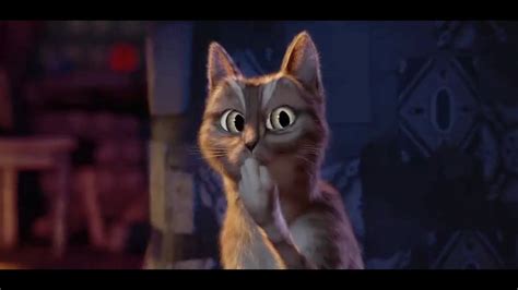 Curiosidades Sobre Gatos Que Você não sabia Boutique dos Gatos