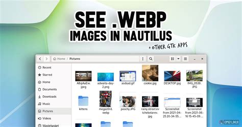 How To See WebP Images In Nautilus Other GTK Apps OMG Linux