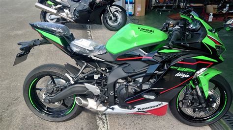 Ninja Krt