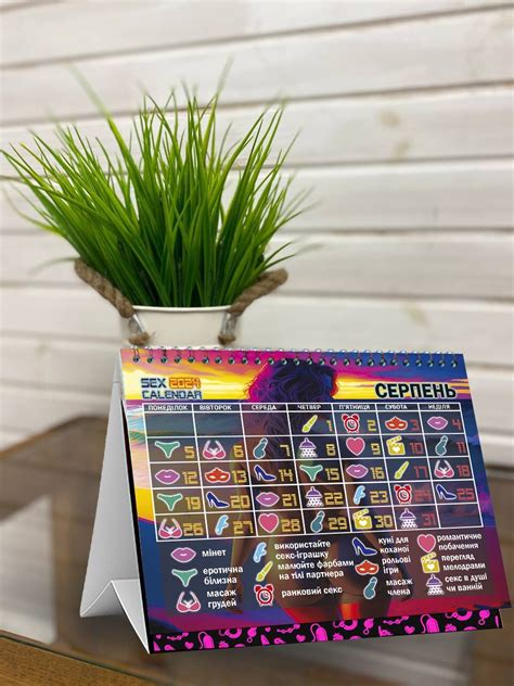 Sex КАЛЕНДАР 2024 Ua So8689 купити в секс шопі Реве та стогне