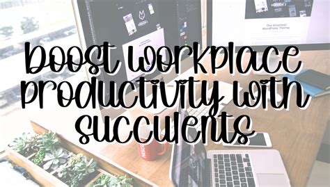 Succulents In Workspaces Unlocking Extraordinary Benefits For Employee