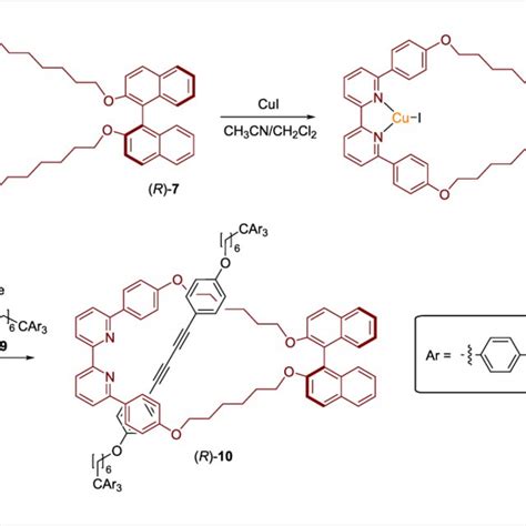 Molecular Structures Of R Binol Left And S Binol Right