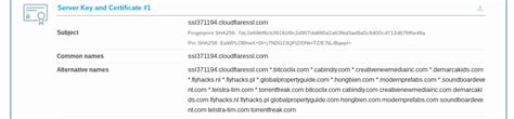 Security Better Understanding TLS SSL Alternative Names Server Fault