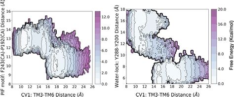 Figures And Data In Dynamic Allosteric Networks Drive Adenosine A1