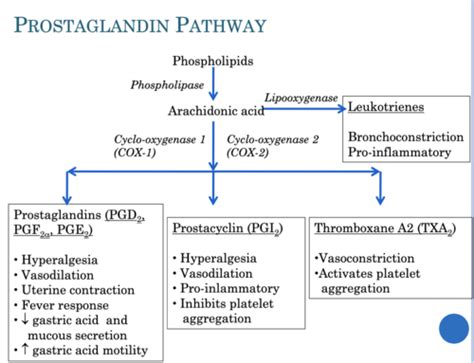 Analgesics Flashcards Quizlet
