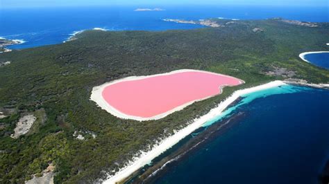 Discovery Why Australia Has Bubblegum Pink Lakes Discovery