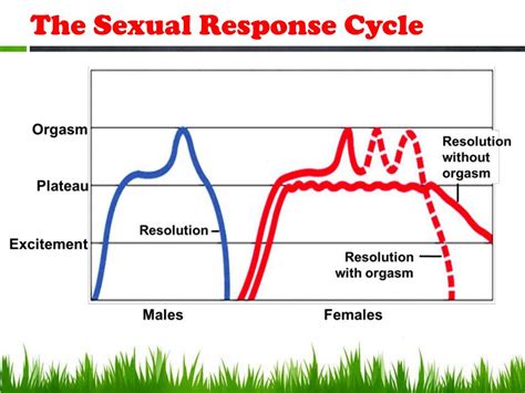 PPT Module Sexual Motivation PowerPoint Presentation Free Download ID