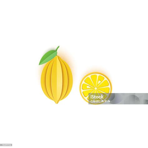 이 종이는 전체 슬라이스와 슬라이스 레몬 감귤류 어떤 목적을위한 훌륭한 디자인 여름 달콤한 육즙이 많은 음식 벡터 카드 3d 그림입니다 열대 종이 공예 층 과일 과일에 대한
