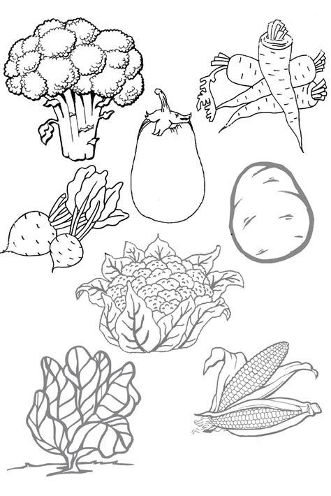 Desenhos De Legumes Coloring City Vrogue Co