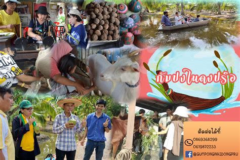 กัมปงในดงปรือ 📜โปรแกรมนำเที่ยวของกัมปงในดงปรือ