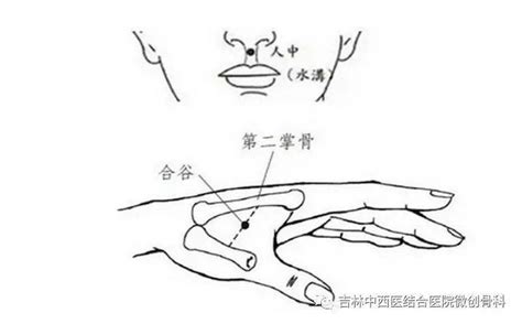 简单四招缓解“小腿抽筋”肌肉