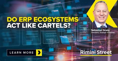 5 Truths About Your Erp Software Vendor Rimini Street