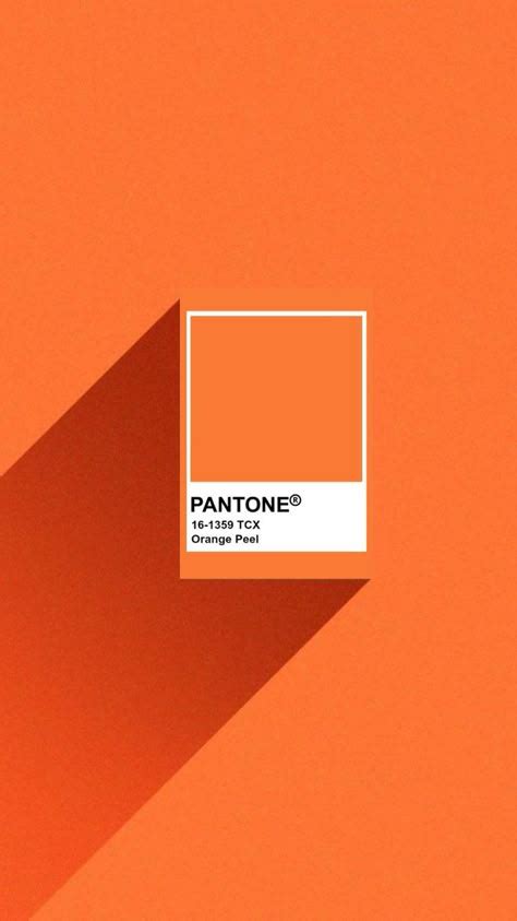 Paleta De Cores Laranja