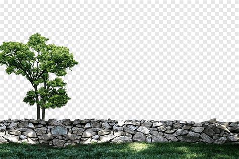 Computer File Tree Landscape Stone Png PNGEgg