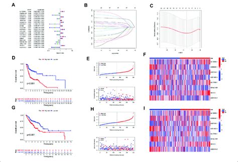 Construction Of The Prognostic Cuproptosis Related Long Noncoding Rna Download Scientific