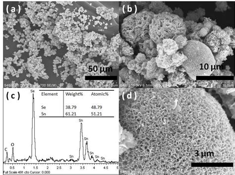 Color Online A B D SEM Image At Various Magnification Of The