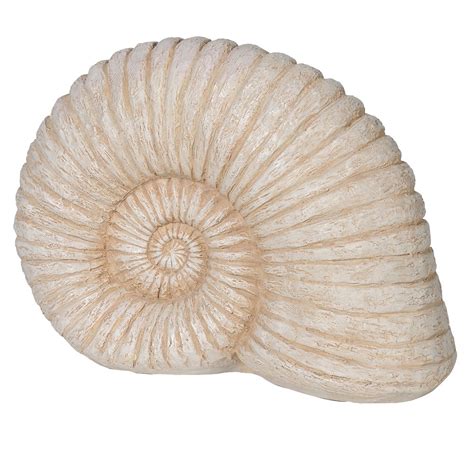 Large Ammonite Shell Decoration Maison White
