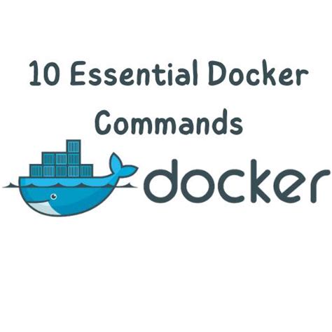 praveen dandu on linkedin mastering docker 10 essential commands for