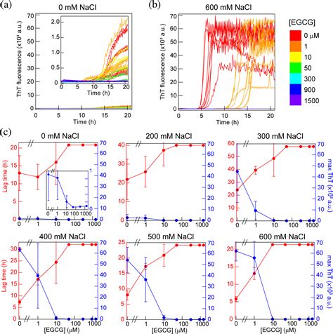 Polyphenol‐solubility Alters Amyloid Fibril Formation Of α‐synuclein So 2021 Protein