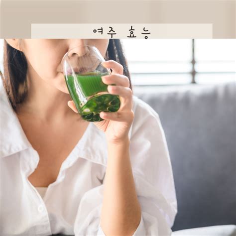 말린 여주 효능 7가지 여주차 여주즙 당뇨 혈당에 좋은 이유를 알고 먹자