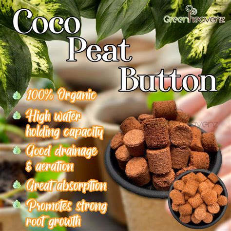 Ghz Coco Peat Murah Tanah Cocopeat Button Hydroponic Seed Germination