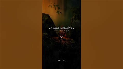 Heart Touching Quran Recitation Soothing And Peaceful Tilawat Youtube