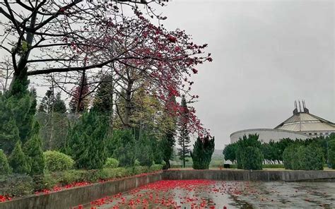 Private Day Tour To Opium War Museum And Humen Fort Fr Guangzhou