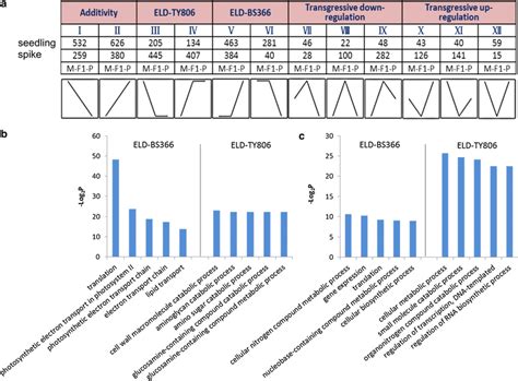 Expression Level Dominance Eld Of Jm8 Genes In Seedling And Spike Download Scientific Diagram