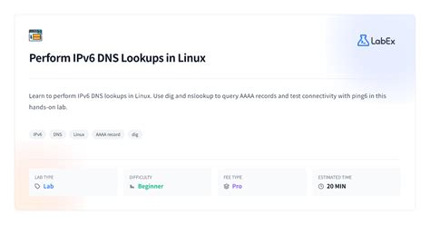 perform ipv6 dns lookups in linux labex