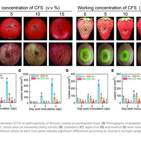 The Cell Free Supernatant Cfs Of Bacillus Velezensis Inhibited