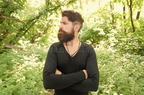 Natureza Selvagem Fundo Foliar Brilhante De Barba Branca Guy Relaxa Na