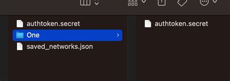 1106 Apple M1 Pro Waiting For Zerotier System Services · Issue 54