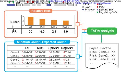 Figure 1 From Contribution Of De Novo Non Coding Mutations To Autism