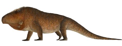 Erythrosuchus Dinosaur World Mobile Fan Wiki Fandom