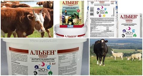 Альбен для КРС: инструкция по применению и состав, дозировка и аналоги
