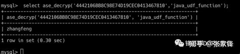 Apache Doris Java Udf