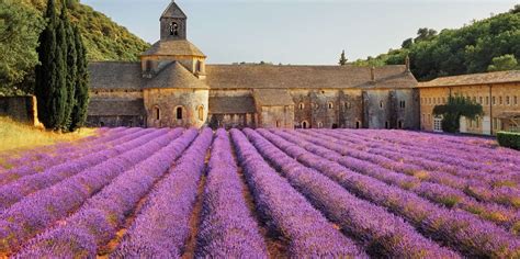 The BEST Provence Alpes Côte d Azur Tours and Things to Do in FREE Cancellation