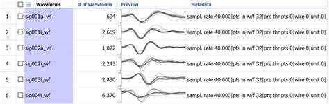 Waveforms NeuroExplorer 5 440 Documentation