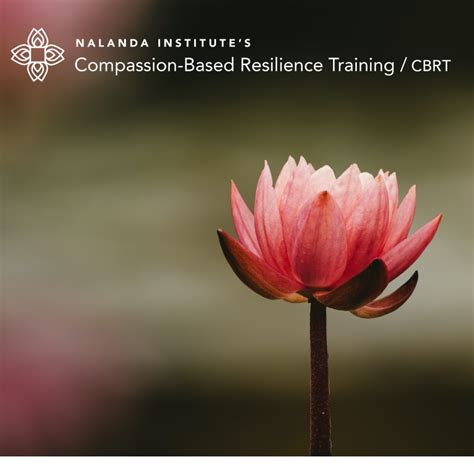 Compassion Based Resilience Training