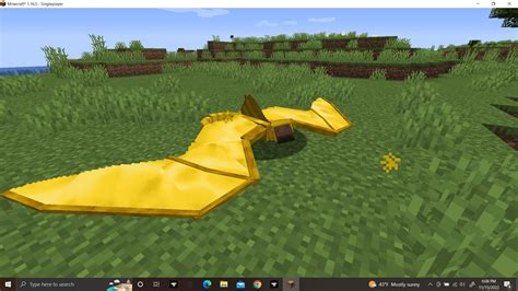 Found A Golden Silver Glider Rwyrmroost