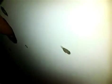 Glory Hole Cock Sucking With Cum Swallow Eporner