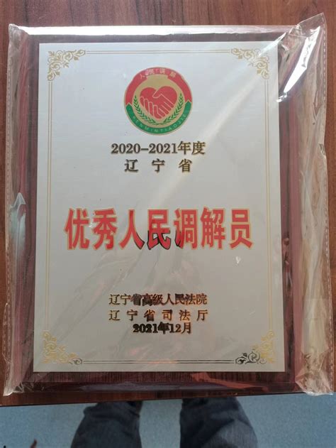 2020 2021年度辽宁省优秀人民调解员温桂华 人民调解 朝阳市双塔区人民政府