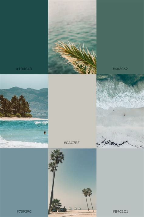 Mood Board Color Palette With Hex Codes Design Inspiration For Brands