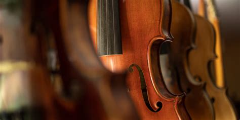 Where To Buy Musical Instruments In Colombo Pulse