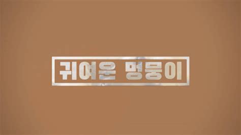 프리미어 강아지 마블 인트로 만들기 Feat 편집하는 여자 Youtube
