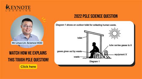 5 Challenging Psle Science Questions You Must Try 2025