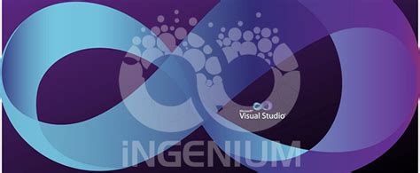 Installing Visual Studio Express Edition InGenium Web